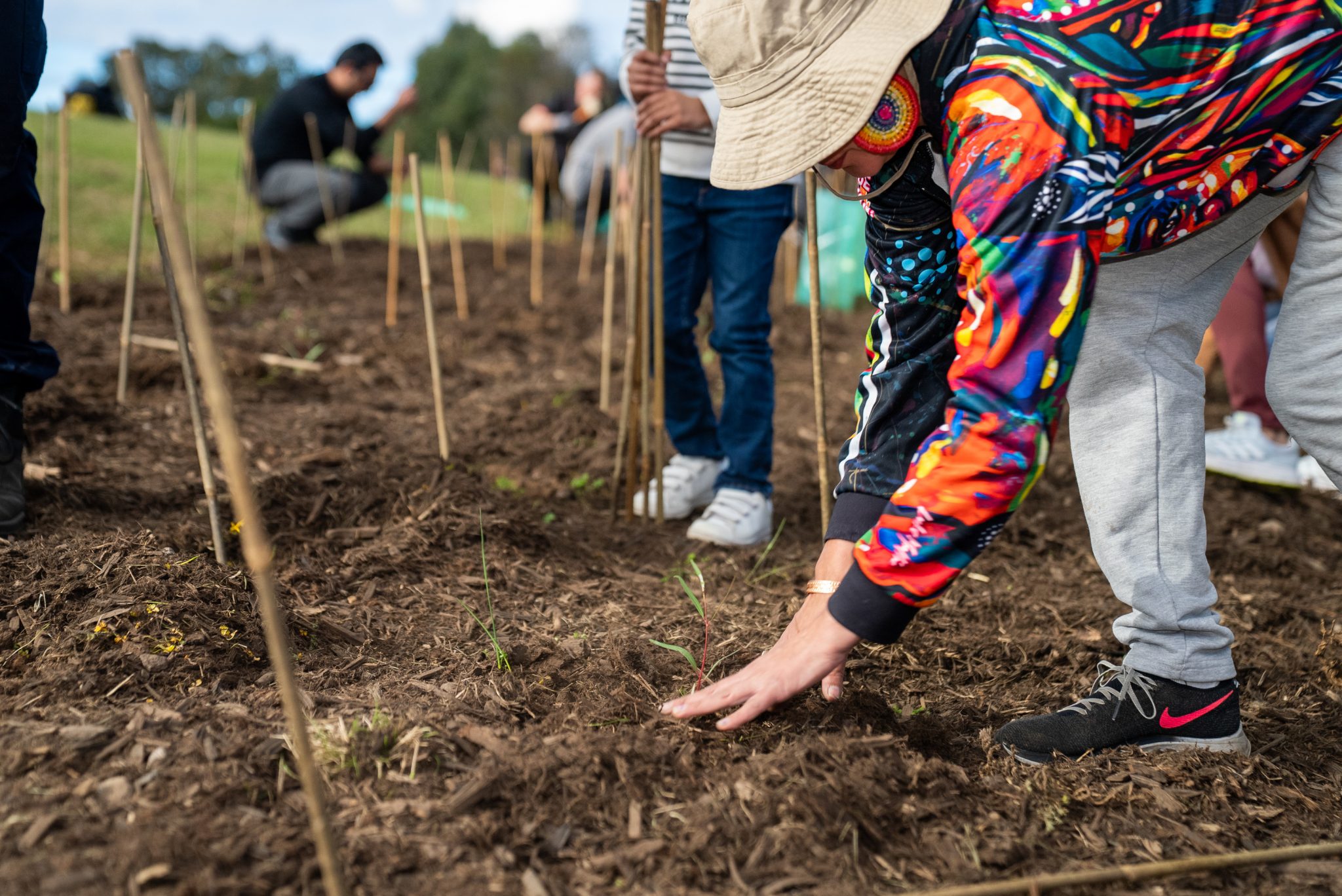 Reconciliation Tree Planting Day | Deadly Western Connections