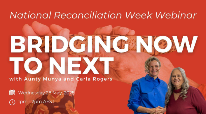 Webinar: Bridging Now to Next – Reflections and Actions for Allies ...